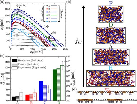 A Salt Concentration C S Versus Polymer Concentration C P Phase Download Scientific Diagram