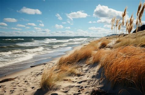 Premium Ai Image Grassy Grass On The Beach Next To The Ocean And A