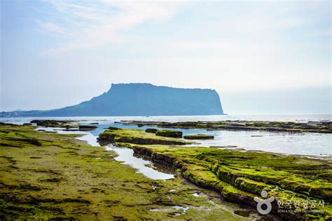 제주도 서귀포시 광치기해변