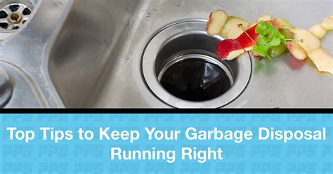 Top Tips To Keep Your Garbage Disposal Running Right Phillips Plumbing Solutions