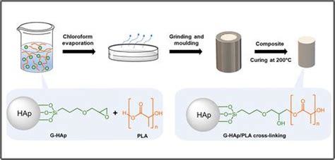 界面交联对聚乳酸 羟基磷灰石复合材料力学和热性能的调控 Polymer Composites X Mol