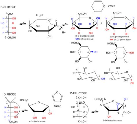 Sucrose Linear Structure