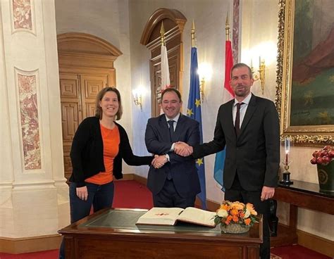 საგარეო ურთიერთობათა კომიტეტის დელეგაციამ ლუქსემბურგის საგარეო და თავდაცვის კომიტეტებთან