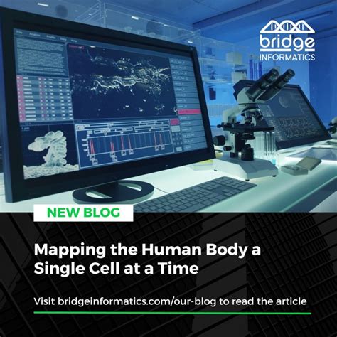 Singlecell Bioinformaticians Biologists Omics Bridge Informatics