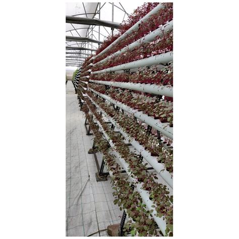 Hydrocrop Pvc Hydroponics Pipe Round 75mm
