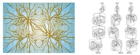 Deeplearning Tensorflow Keras Ai Machinelearning Abdullah Khan