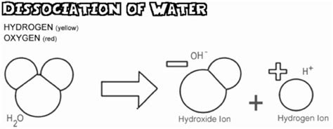 Acids Bases And PH Flashcards Quizlet