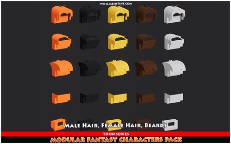 Modular Fantasy Characters Toon Series