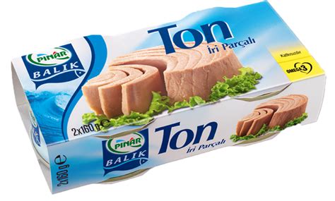 Ton Balık