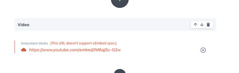 How Can I Add An Embed Url Into Embed Field Type Developing With
