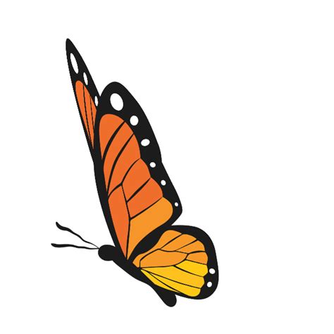 Animated Flying Butterfly 