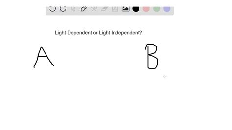 Solvedlook At The Following Pseudocode And Then Answer The Questions
