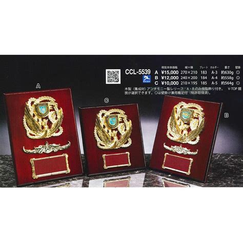 競技別 楯 2 Ccl 5539 Aサイズ Ccl 5539a 記念品専門店の愛媛記章 通販 Yahoo ショッピング