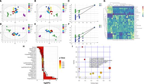 Spleen Metabolomics A D The Pca Analysis Represents The Positive Download Scientific