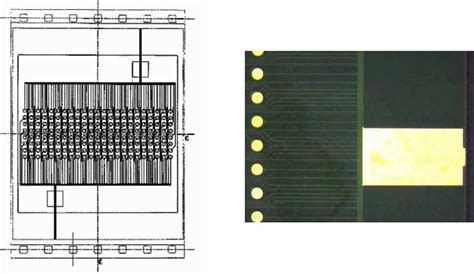 Figure 2 From Bias Hast On Tape Ball Grid Array Tbga Test Pattern Semantic Scholar