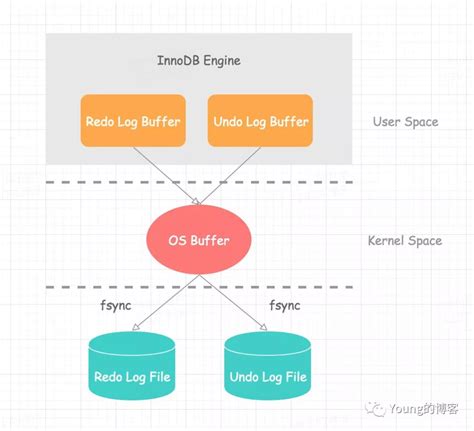 Innodb 中的 Redo 和 Undo Log Csdn博客