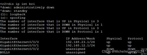 Ospf单区域配置 Csdn博客