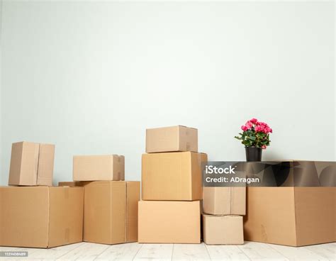 이동 하는 날 회색 벽에 대 한 식물 골 판지 상자와 냄비 텍스트의 공간을 복사 합니다 낮에 대한 스톡 사진 및 기타 이미지