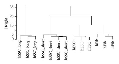 Cluster Dendrogram F Test Best P Value Download Scientific Diagram