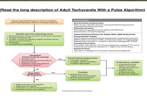 Advanced Cardiac Life Support Algorithm Ppt