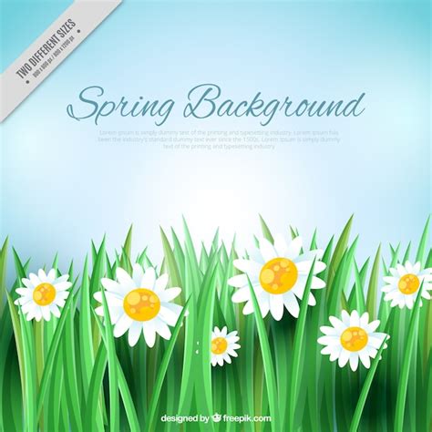 Free Vector Daisy And Grass Background