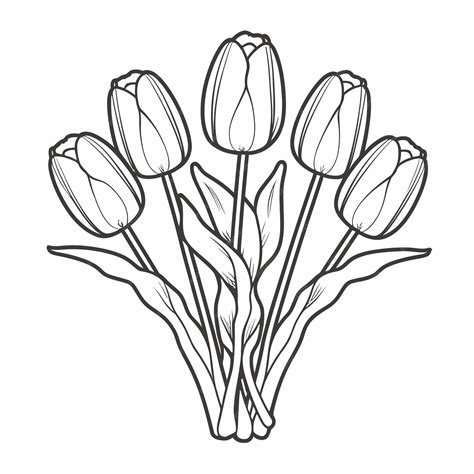 Premium Vector Tulip Flower Outline Vector