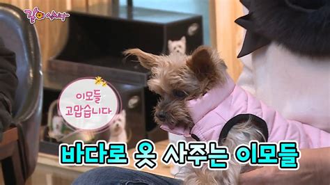 [같이삽시다] 바다로에게 입힐 옷 쇼핑 중 Youtube