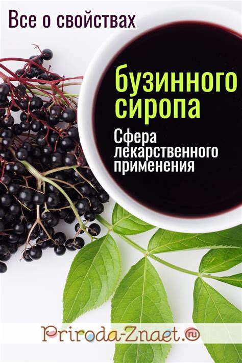 Применение сиропа черной бузины: отзывы и противопоказания, | Red ...