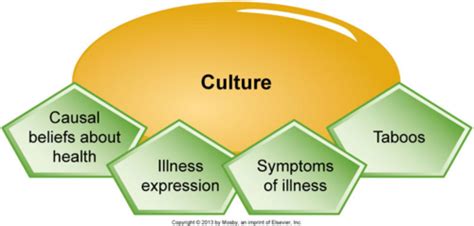 Socialisation Culture And Identity Flashcards Quizlet