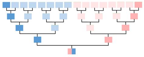 Y Dna Mtdna And Autosomal Dna Tests
