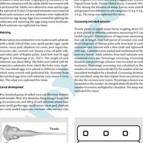 Sexual Dimorphism Of R Phoenicis Figure 2 Substrates With Holes For Download Scientific