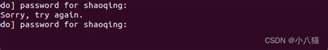 linux终端输入指令后出现[sudo]password for 在这后面输入不上去密码或者输入正确的密码以及密码没有输完就显示