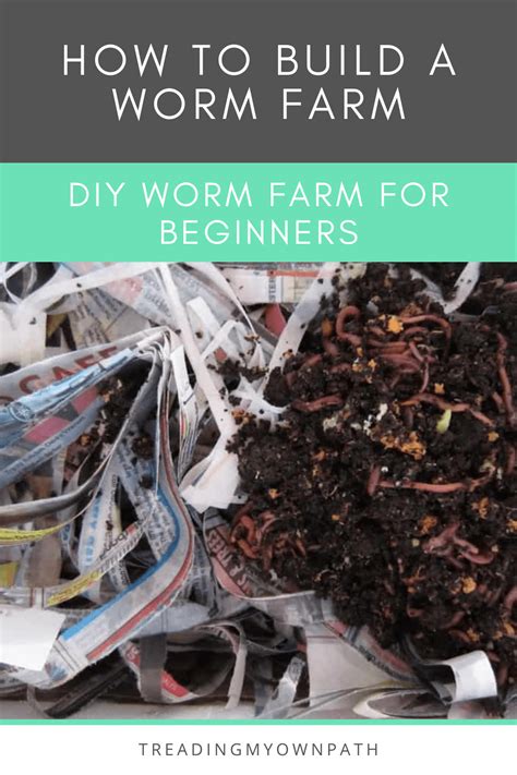 How To Build A DIY Worm Farm Treading My Own Path Less Waste Less Stuff Sustainable Living