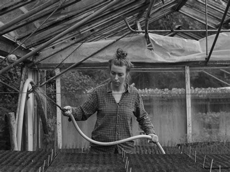 Tom Bunning Photography Fern Verrow I