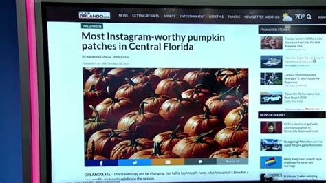 Most Instagram Worthy Pumpkin Patches In Central Florida