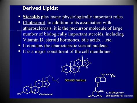 Lipids Classification Structure And Biological Role By Dr