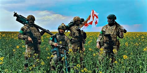 საინფორმაციო თავდაცვის ლეგიონი რუსულმა პროპაგანდამ და 2008 წლის ომის გამოცდილებამ ბევრ ჩვენ