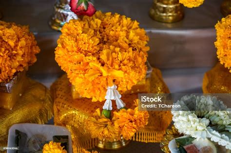 크라운 꽃 및 금 직물 태국 불교 사원에 적용 하는 받침대와 트레이 제공 황금 색깔에 재 스민 신선한 노란 금 잔 화 꽃 화 환 배열 갈란드 장식품에 대한 스톡 사진 및