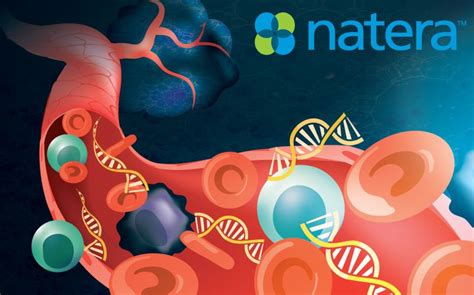 Immuno Oncology Insights On Linkedin Circulating Tumor Dna As A Predictive Biomarker For