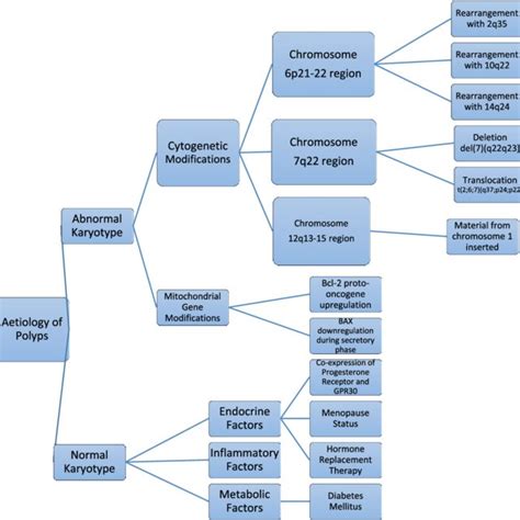 Diagrammatic Summary Of Polyp Aetiologies Download Scientific Diagram