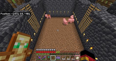 Why Is My Dirt Not Turning Into Grass Rminecraft