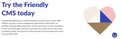 8 more early thoughts about building a website on umbraco 8 cloud by