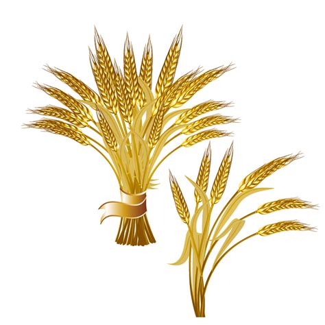 Bunchgrass Clipart 10 Free Cliparts Download Images On Clipground 2025