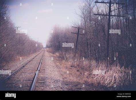 Rails In Wood Stock Photo Alamy