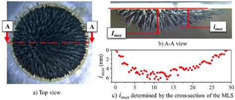 Mls Shape And Cross Section Profile Download Scientific Diagram