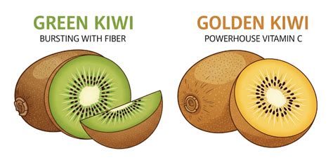 Kiwi Fruit Benefits Green Vs Golden Gut Health And Vitamin C Power