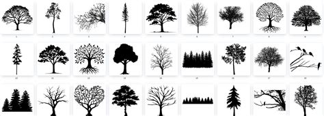 Tree PNG SVG Bundle Tree Clipart Set Nature Vector Graphics Tree SVG Files Printable