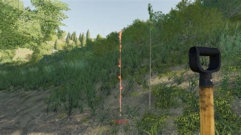 FS Hand Plant Saplings V FS Objects Mod Download