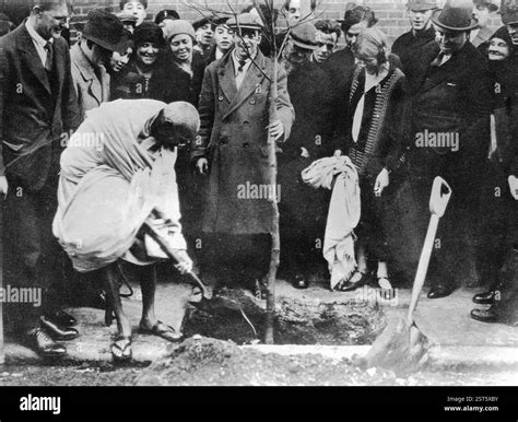 Mahatma Gandhi Planting Tree Outside Kingsley Hall East End London England December 3 1931