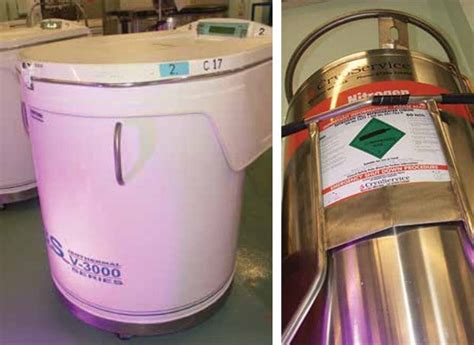 Cell Culture Fundamentals Cryopreservation And Storage Of Cell Lines